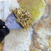 TotalBoat TotalStrip Marine Paint Remover & Varnish Stripper